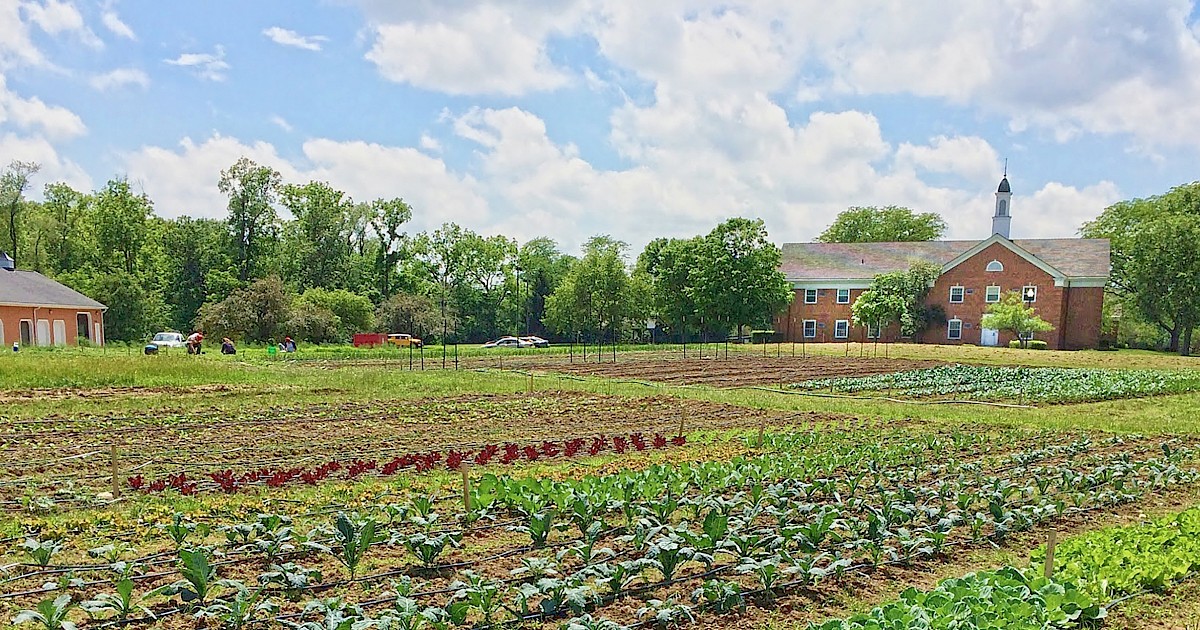 Farm Open House - Seminary Hill Farm